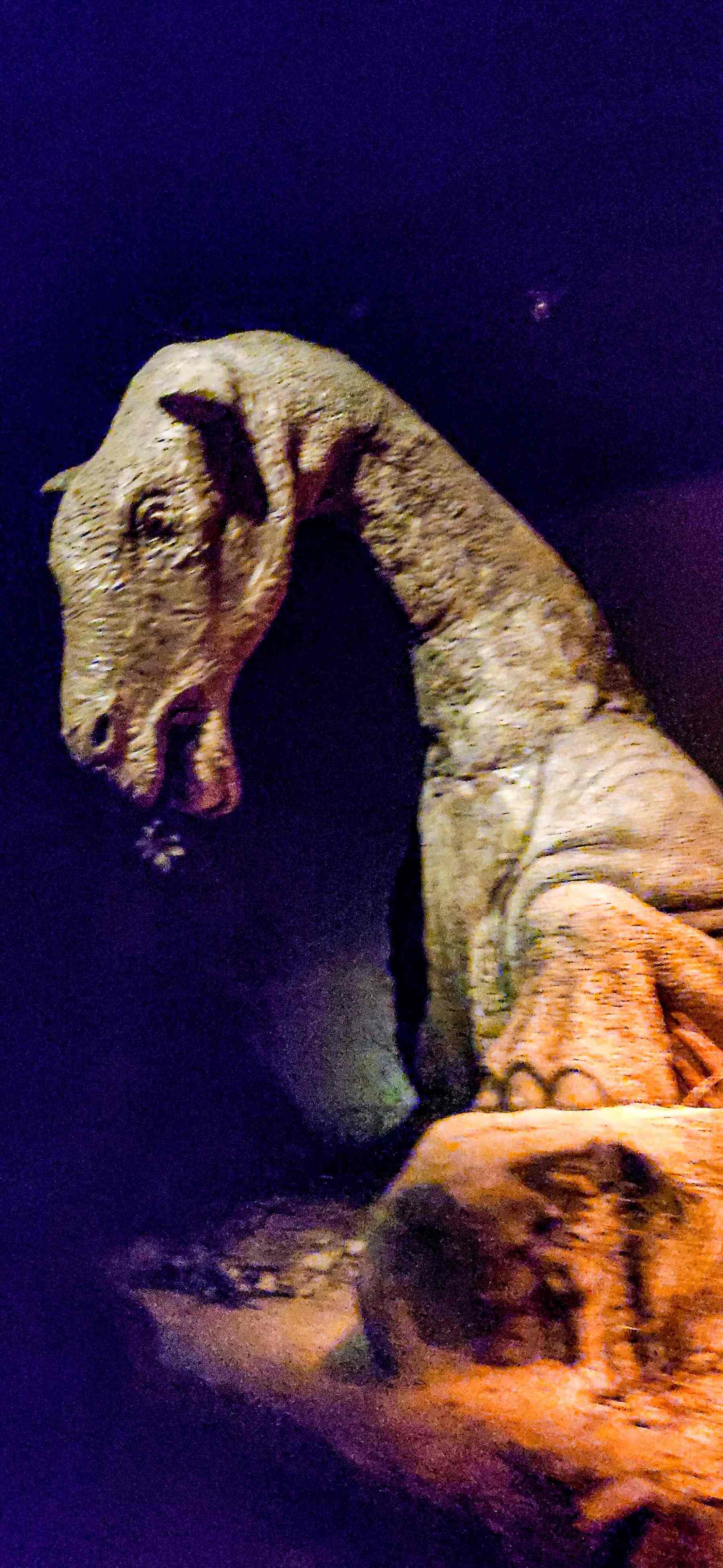 ¿Vale la pena Dinópolis? Precios y horarios – vivir aventuras